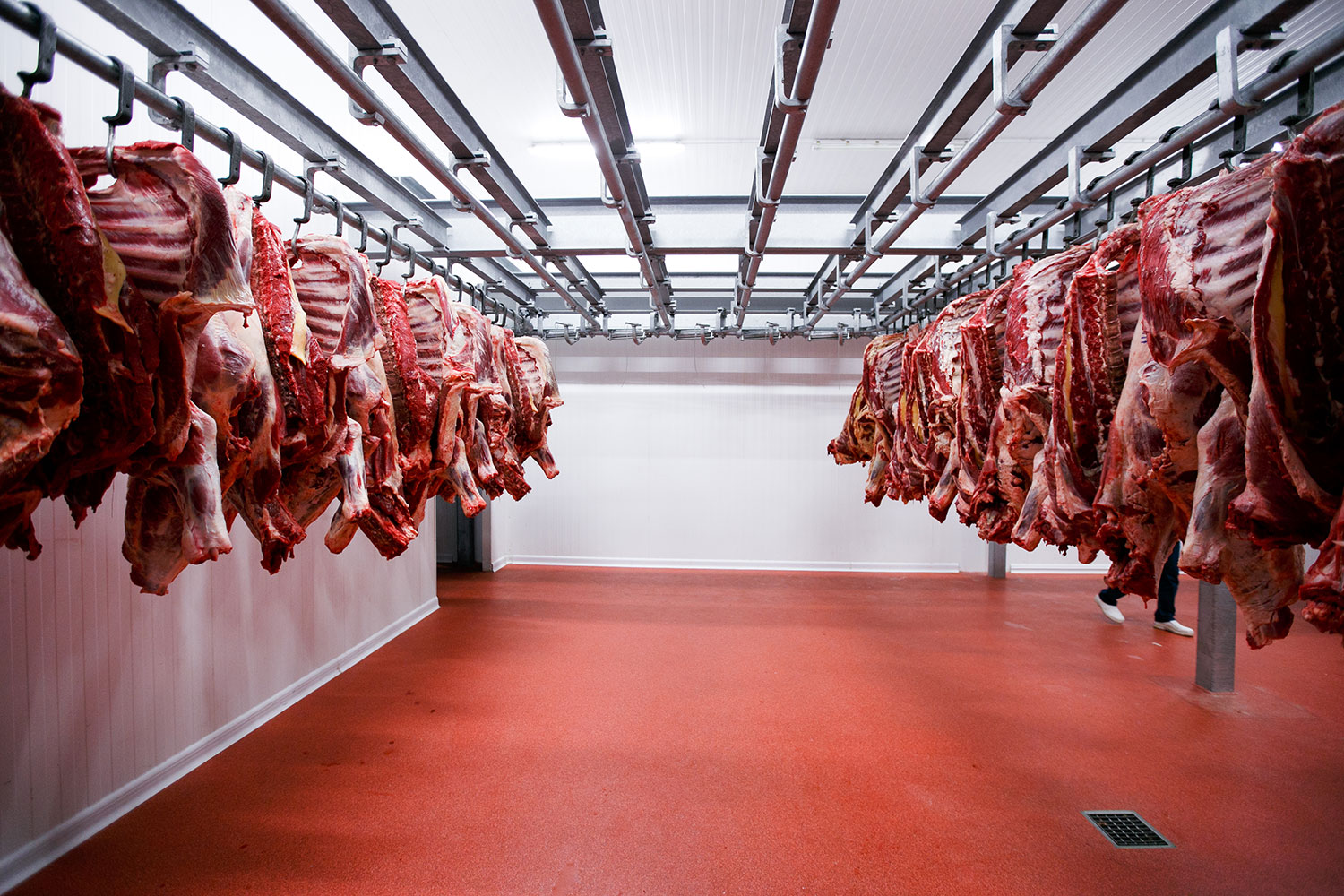 Types and Design of Slaughterhouse Cold Storage - DONGAN